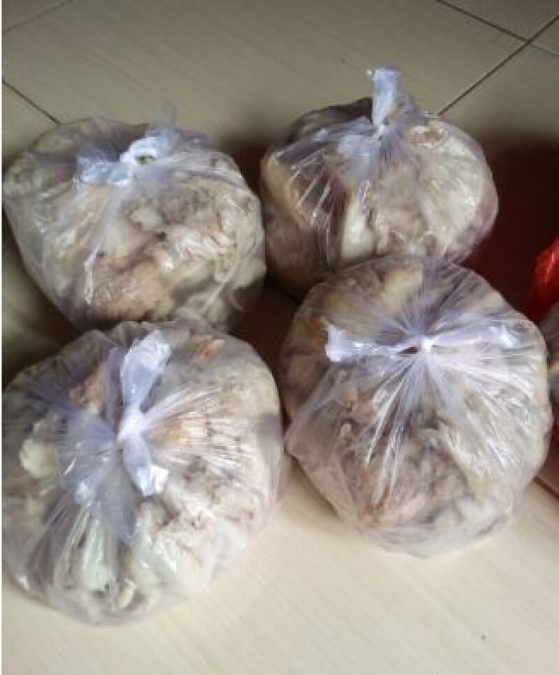 SASAPAN / TETLAN KULIT SAPI